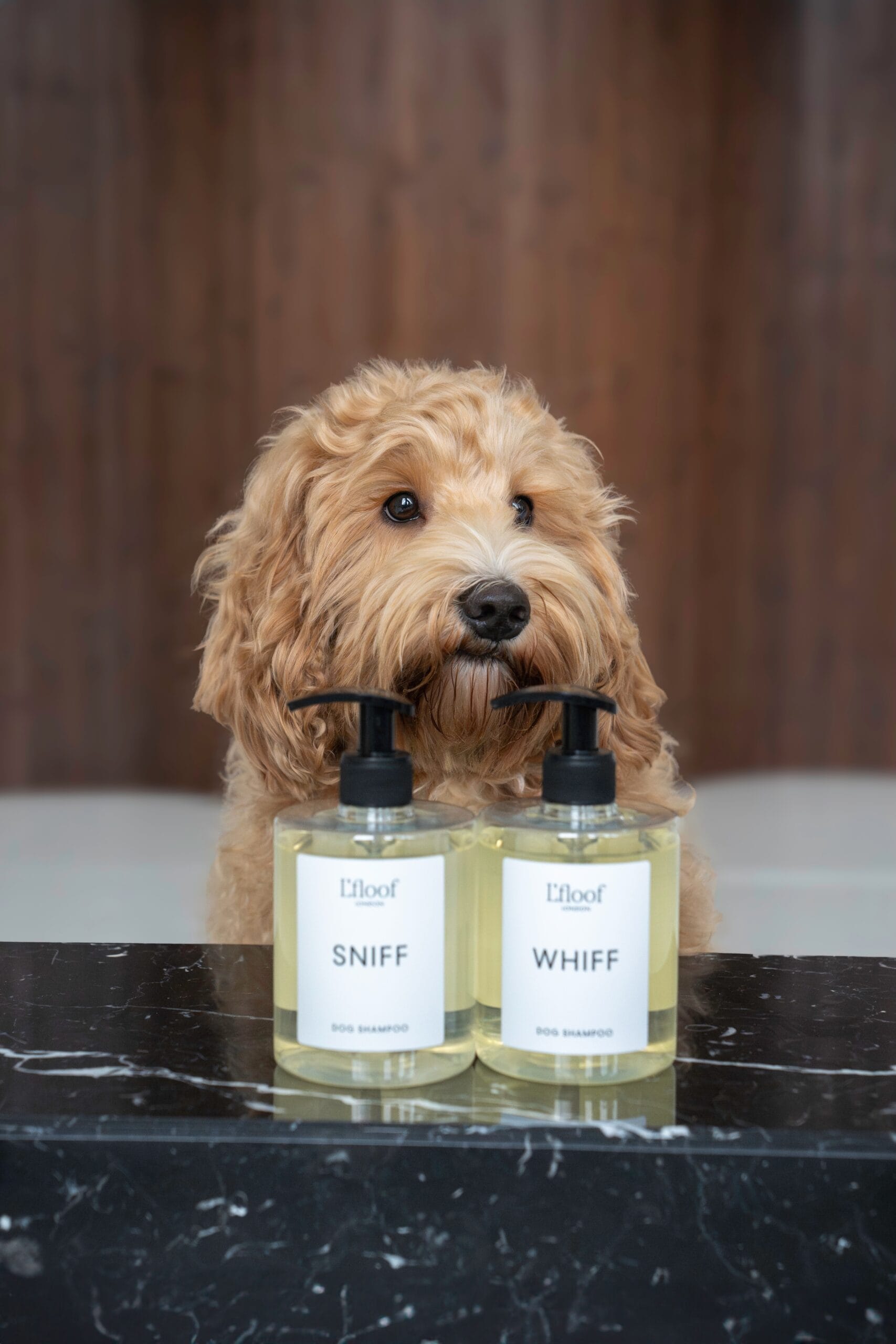 Scotty's Dog Goods – Quality is key!